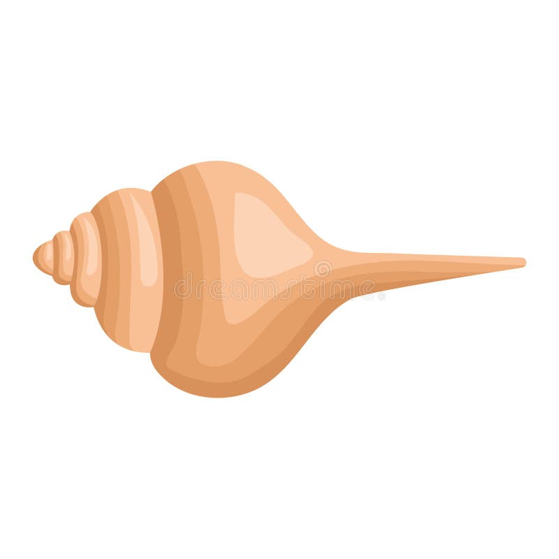 Orange seashell design stock vector. Illustration of color - 246564297
