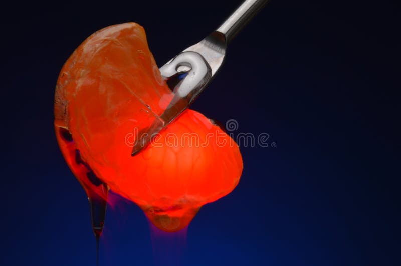 Orange Section Dripping with Syrupy Glaze Stock Photo - Image of citrus ...
