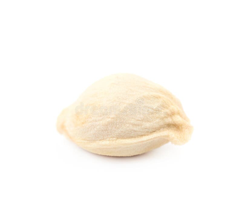 Orange seed isolated stock photo. Image of lemon, macro - 121445120