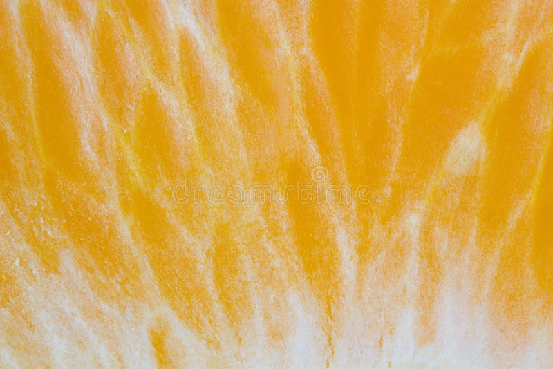 Orange segment close up stock photo. Image of color, freshness - 24428602