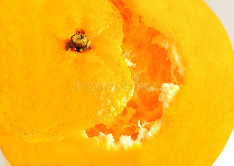 Orange Separated with White Background Stock Image - Image of ...