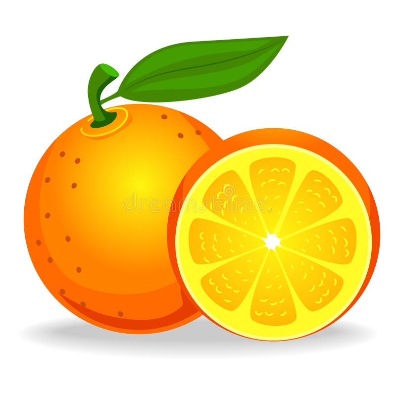 Ponkan Vector Stock Illustrations – 14 Ponkan Vector Stock ...