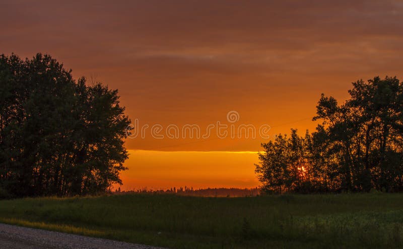 An Orange Setting Sun Over a Field Stock Image - Image of trees ...