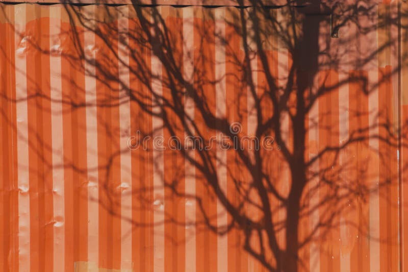 Orange Shipping Container with Tree Shadows Creating Abstract Patterns ...