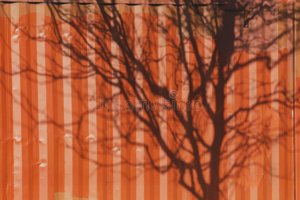 Orange Shipping Container with Tree Shadows Creating Abstract Patterns ...