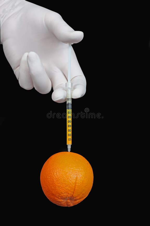 Orange Shooting Orange stock photo. Image of agriculture - 23729990