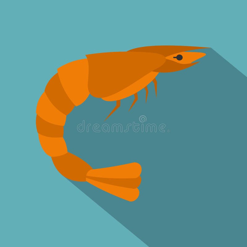 Orange shrimp stock vector. Illustration of appetizer - 37275475