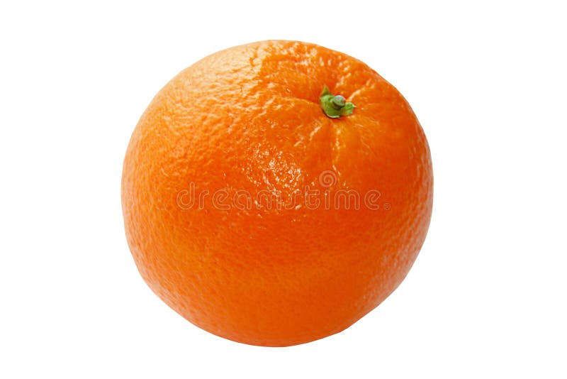 Orange single stock photo. Image of lush, food, foliage - 29240524