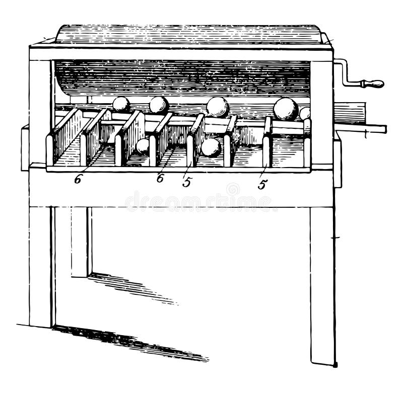 Orange Sizer, Vintage Illustration Stock Vector - Illustration of ...