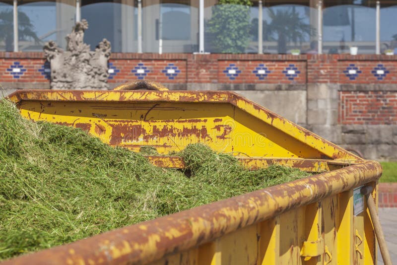 Orange Skip with Plant Waste Stock Image - Image of upright, organic ...