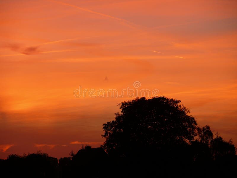 Orange sky stock photo. Image of yellow, trees, sunrise - 149694586