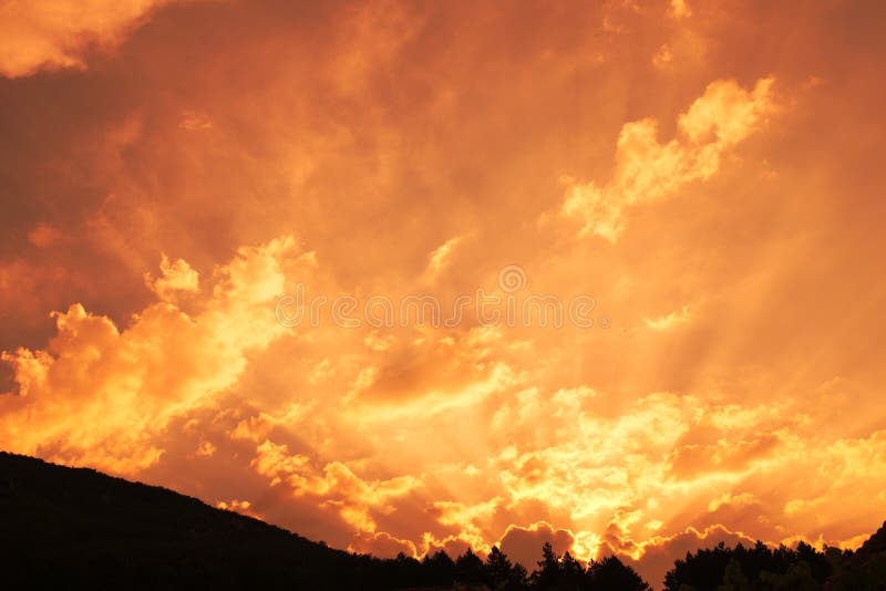 Orange Sky Over the Tree Line Stock Image - Image of quiet, warm: 95218037