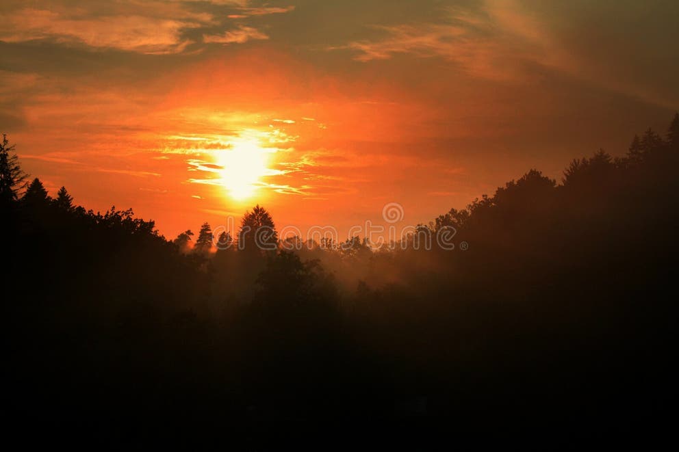 Orange Sky during Sunset Over the Forest Stock Image - Image of orange ...