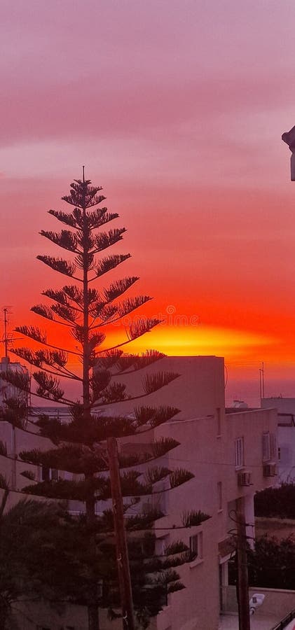 Orange Sky Sunset with Tree and House Stock Image - Image of house ...