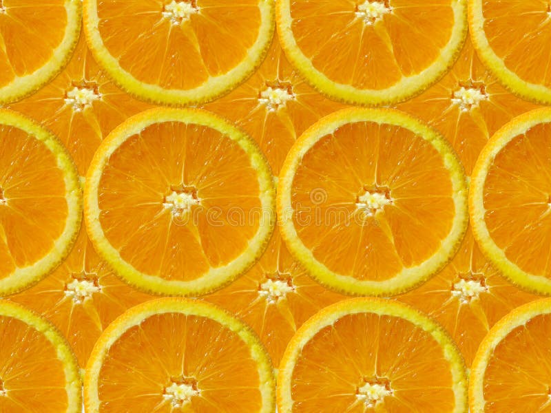 Orange Slice Picture. Image: 1300947