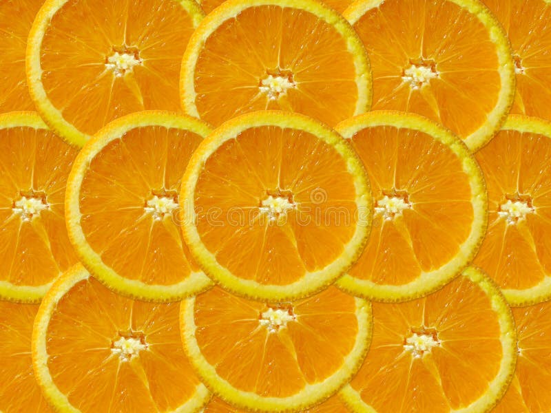 Orange Slice Picture. Image: 1300948