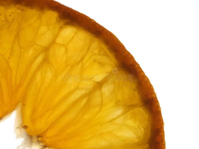Lemon anatomy stock image. Image of citron, juice, anatomy - 165815