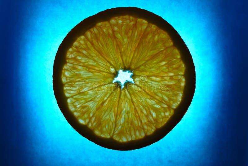 Orange slice stock image. Image of nature, bright, round - 7629415