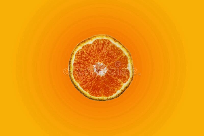 Orange slice stock image. Image of fruit, background - 42878029
