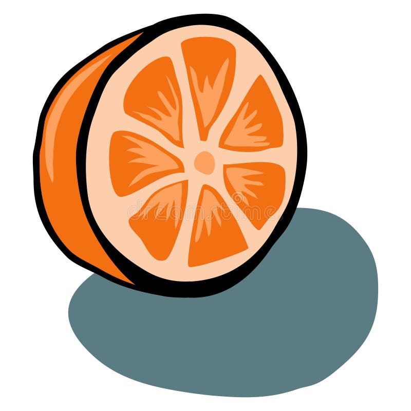 Orange Slice stock vector. Illustration of summer, slice - 48877340