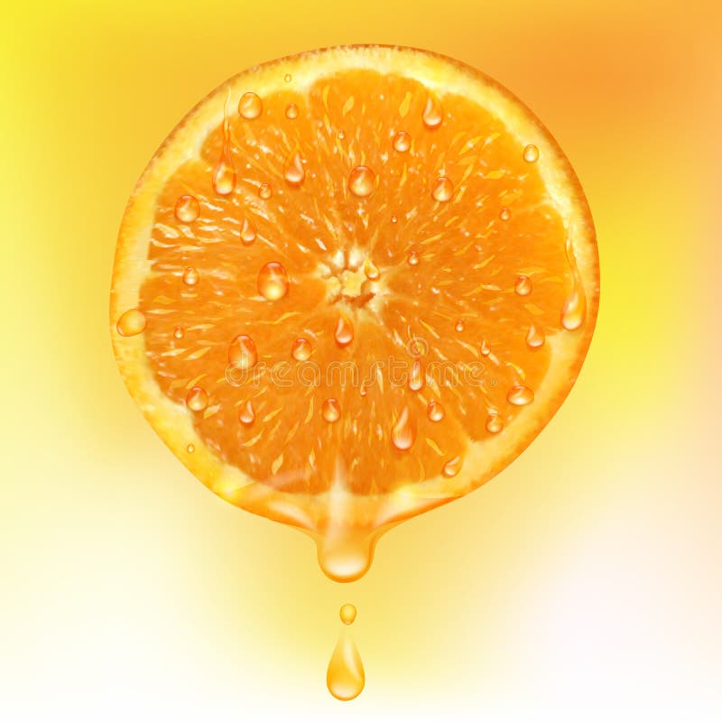 Juice Dripping On Cut Half Of Orange Stock Photo - Image of citron ...