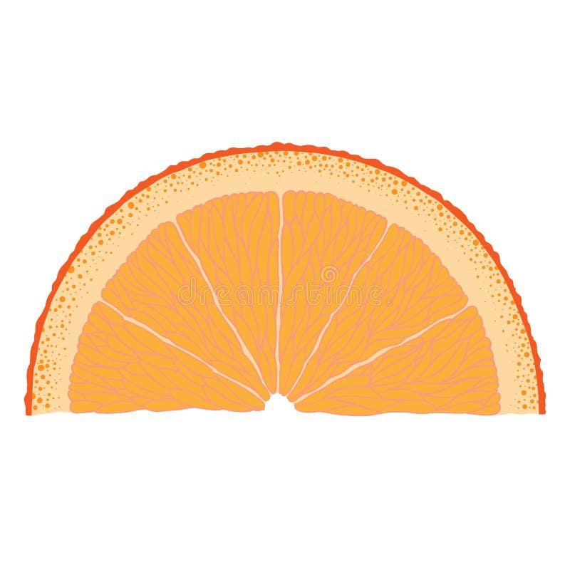 Orange slice stock vector. Illustration of vitamin, design - 56382849