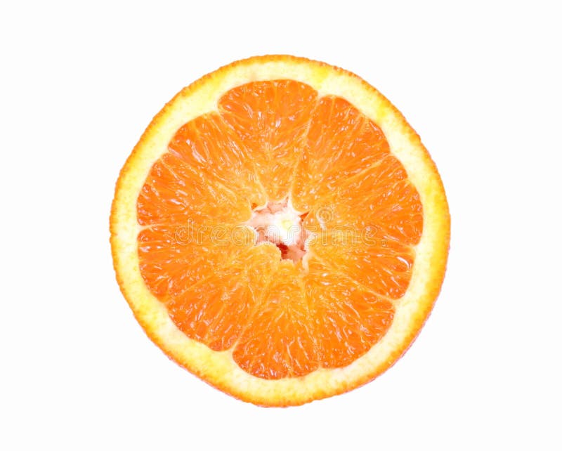 Orange Slice Picture. Image: 1300948