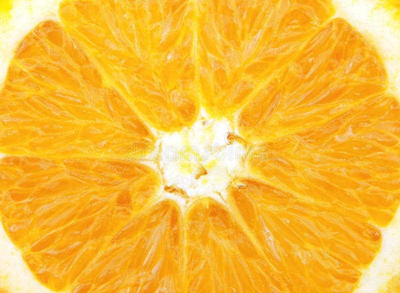 Orange slice stock image. Image of macro, studio, juicy - 65003001