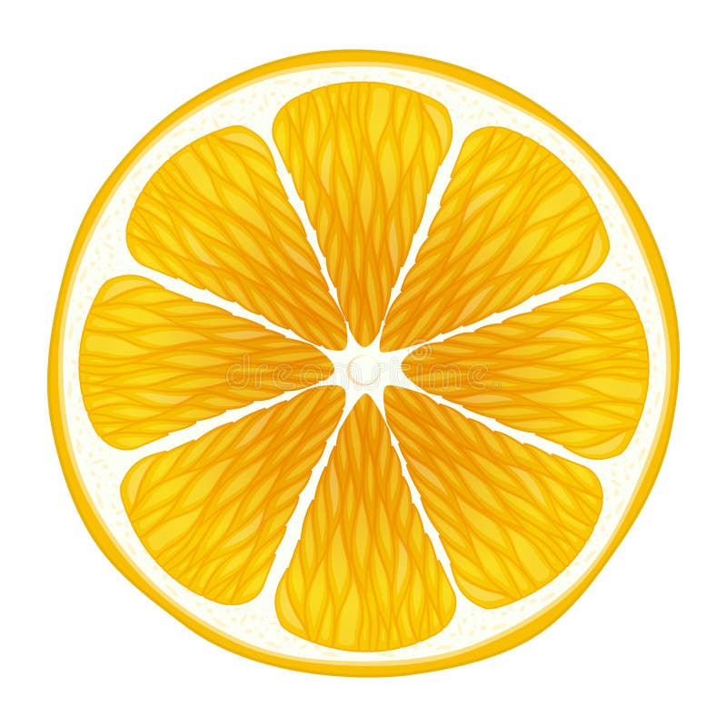 Orange Slices Clip Art
