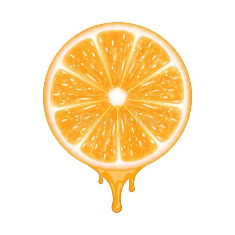 Orange slice stock vector. Illustration of juice, juicy - 53775069