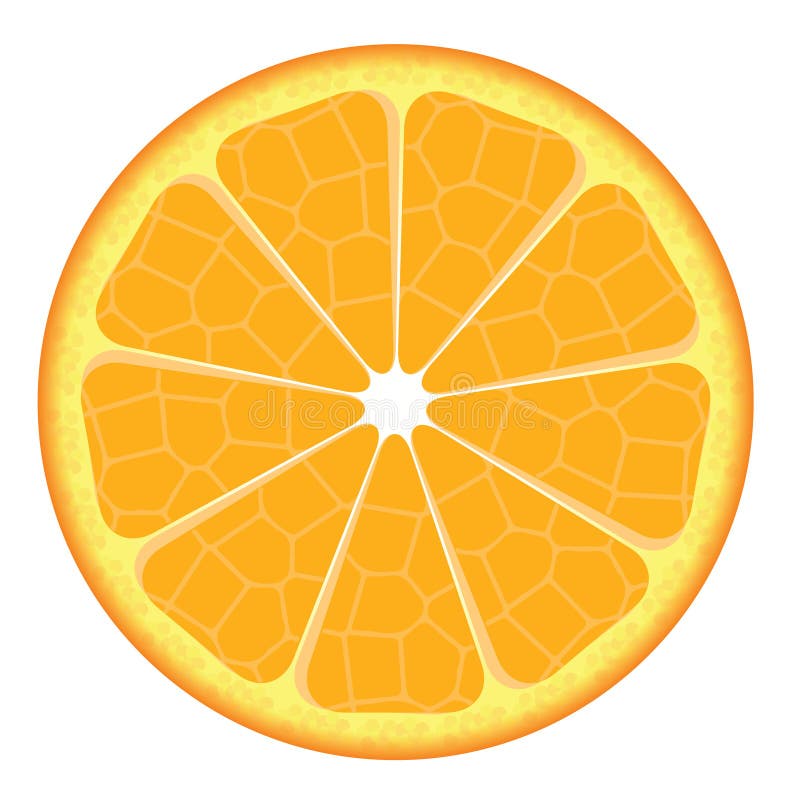 Orange Slice on White Background Stock Vector - Illustration of element ...