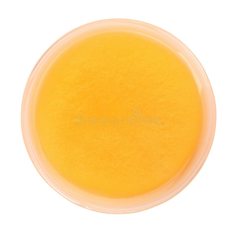 Orange Slime in Plastic Container Isolated on White, Top View ...