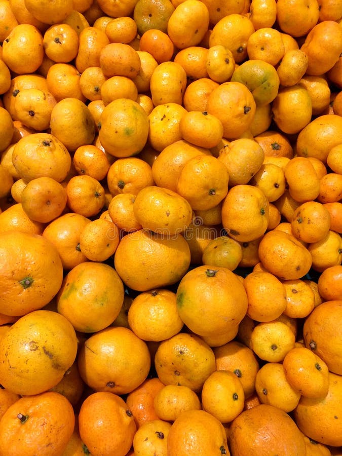 Orange small stock photo. Image of thailand, chiangmai - 61285382