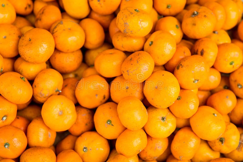 Orange stock photo. Image of diet, taste, food, healthy - 54895920