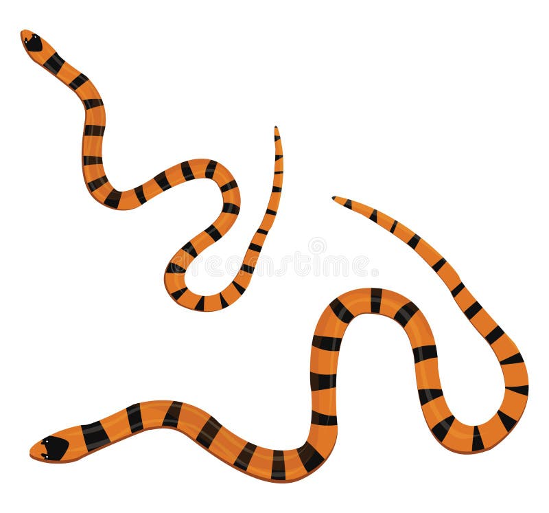 Orange snake, icon stock vector. Illustration of bright - 261378173