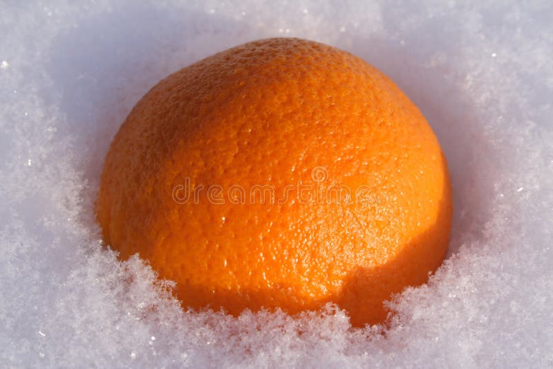 Orange on snow stock photo. Image of white, stem, healthy - 1696202