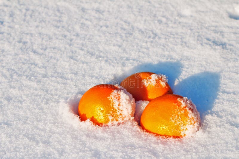 Orange snow stock photo. Image of groceries, fruit, freshness - 65519926