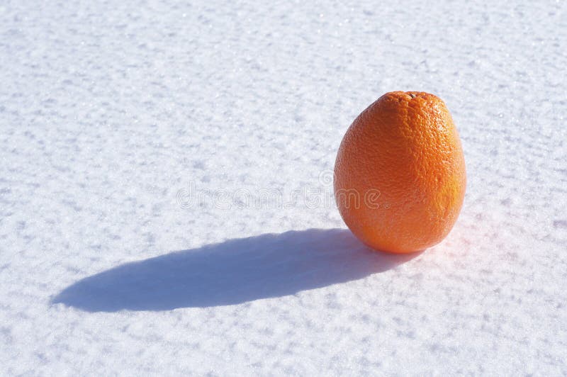 Orange in the Snow on a Sunny Day Stock Photo - Image of snow, january ...