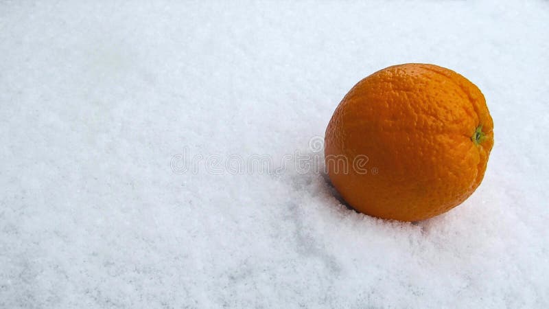 Orange in the Snow. Tropical Fruit on a Snowy Background Stock Image ...