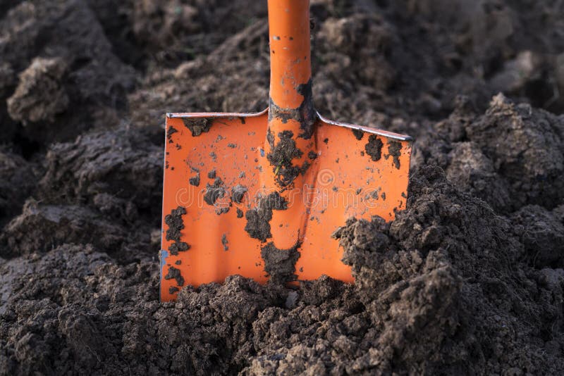 Orange Spade Shovel on the Ground Stock Photo - Image of farm ...