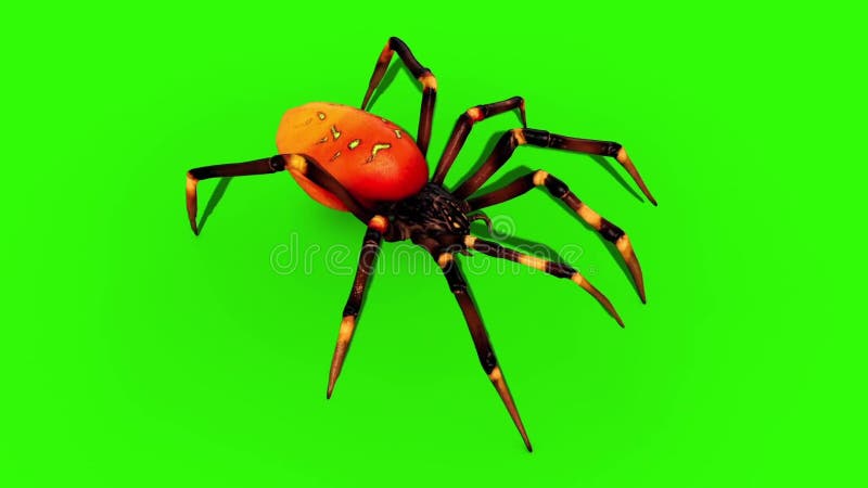 Orange Spider Walkcycle Green Screen Loop 3D Rendering Animation Stock ... Orange Spider Walkcycle Green Screen Loop 3D Rendering Animation Stock ...