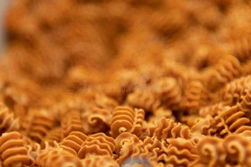 Orange Spiral Homemade Pasta Shells Stock Image - Image of traditional ...