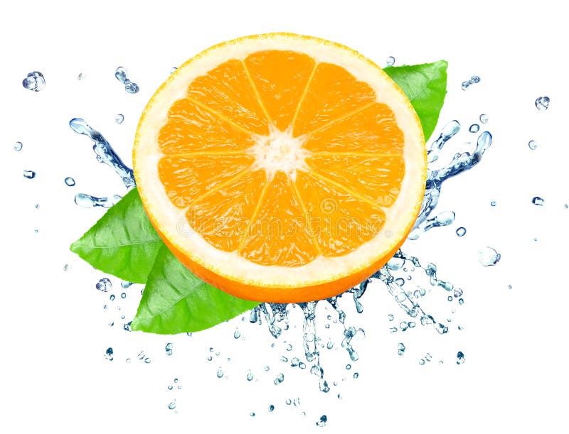 Orange splash isolated stock photo. Image of fresh, orange - 84408354