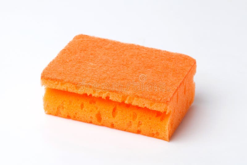 Sponge stock photo. Image of porous, freshness, plant - 2652306