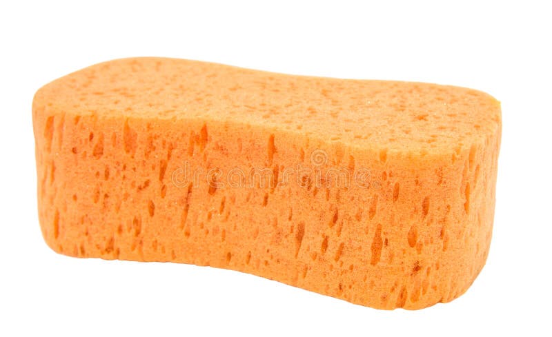 Orange Sponge I stock image. Image of bathing, yellow - 34418539