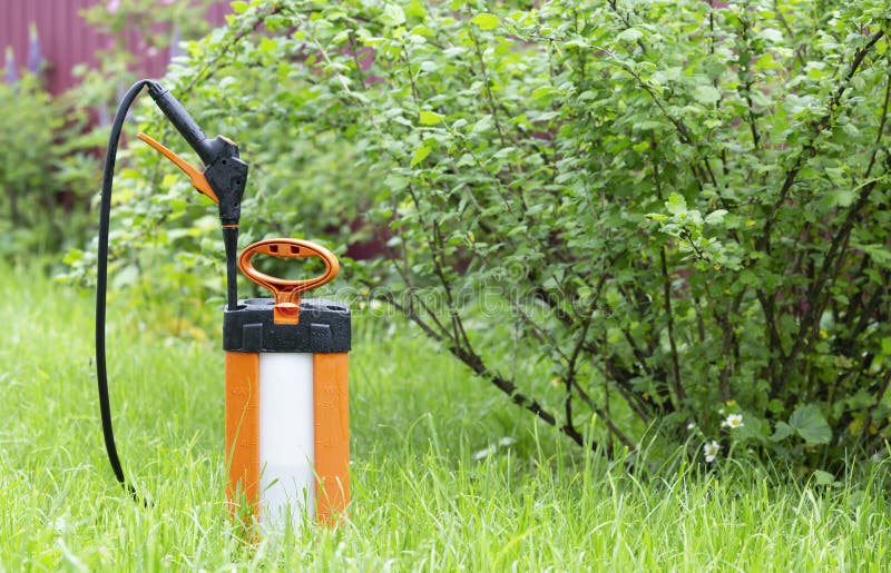 The Orange Sprayer for Plants is Near the Bush Stock Photo - Image of ...