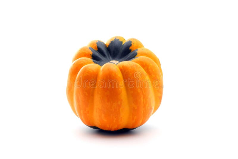 Orange Squash Isolated on White Stock Photo - Image of produce, fall ...