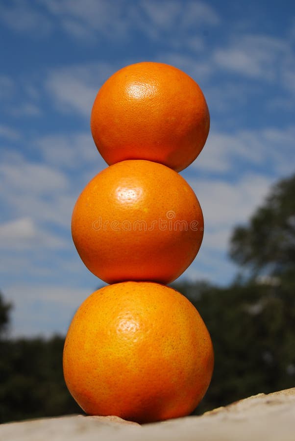 Orange Stack Clouds & Trees Stock Photo - Image of color, vitamins: 4352120