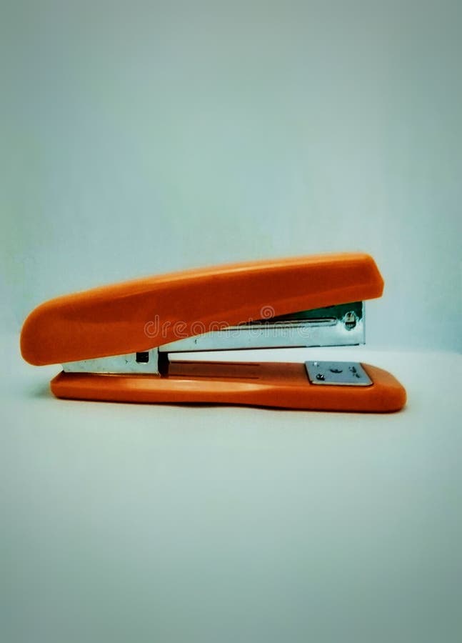 Stapler. stock photo. Image of tools, isolated, office - 221066494