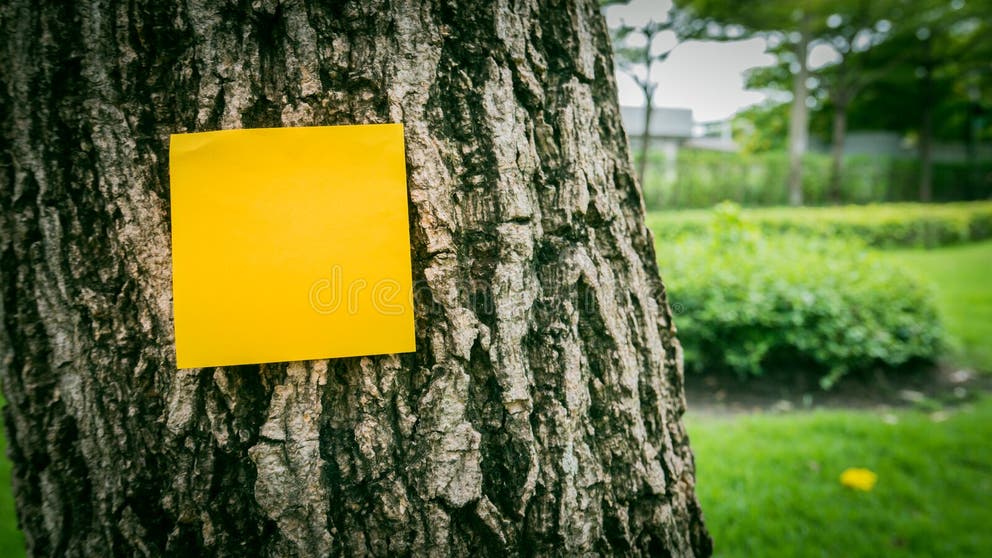 Orange Sticky Note on Tree with Graden Background. Stock Photo - Image ...